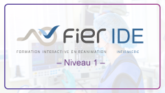 Formations et Séminaires | SRLF