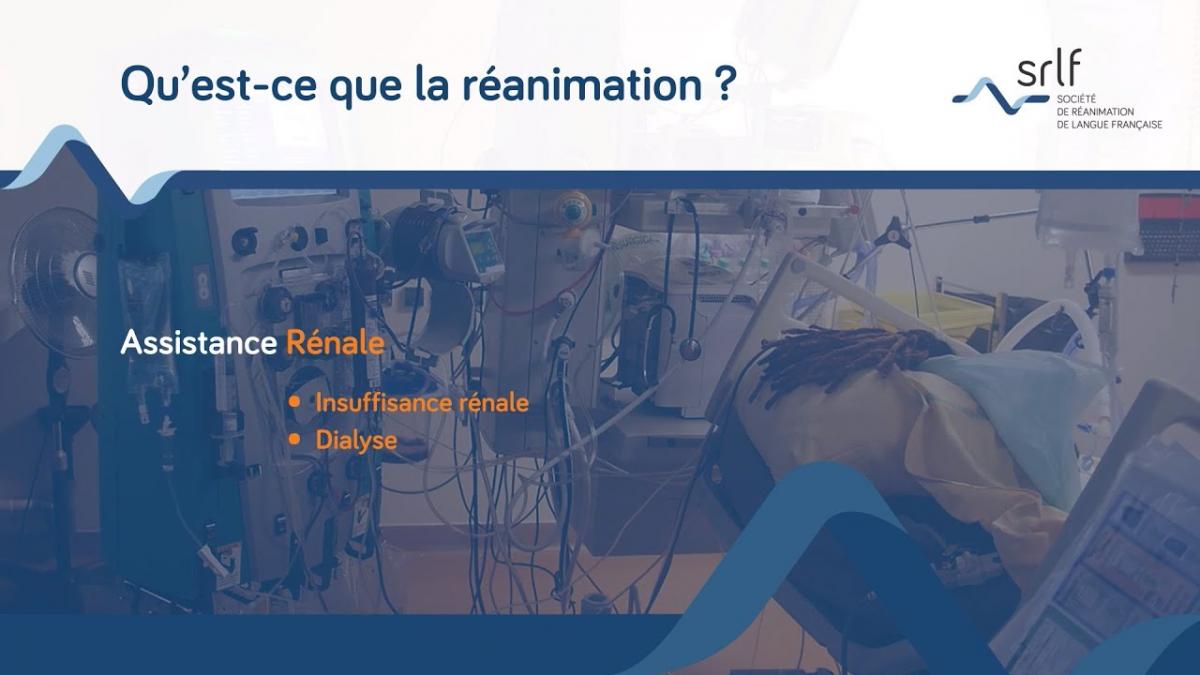 Qu'est-ce que la réanimation ? - 04 - Assistance rénale | SRLF