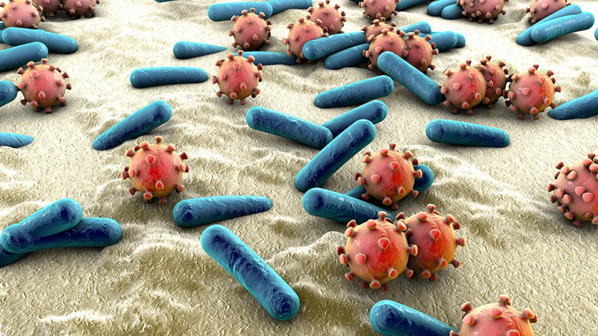 Infections nécrosantes des tissus mous : enfin une description solide ...