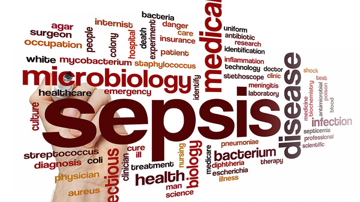 Recommandations internationales sur la prise en charge du sepsis et du ...